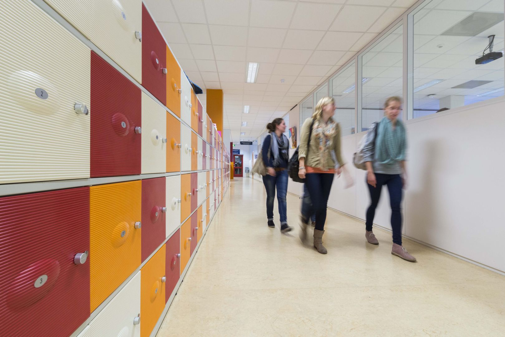 Docent Inburgering MBO | Bisbee Flexonderwijs | Bisbee Flexonderwijs
